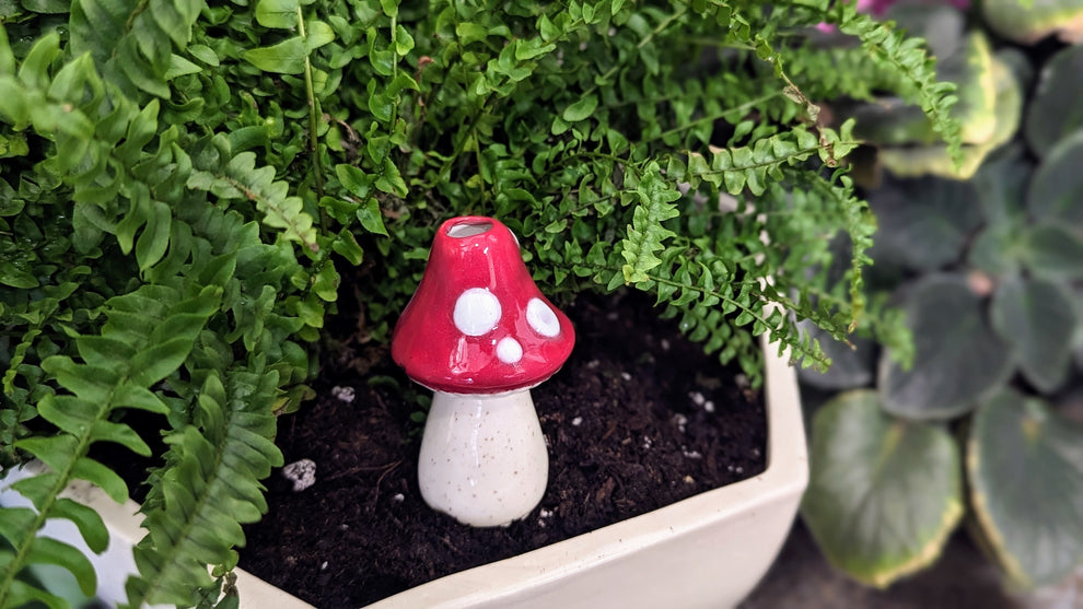 Small Toadstool Watering Spike - Premium Handmade Ceramic - Fun Gift ...